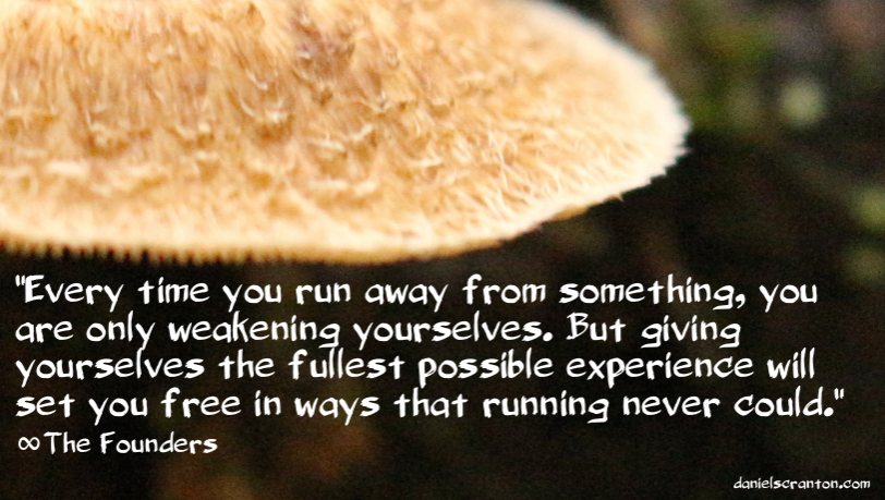 Following Through - The Founders • Daniel Scranton's Channeling