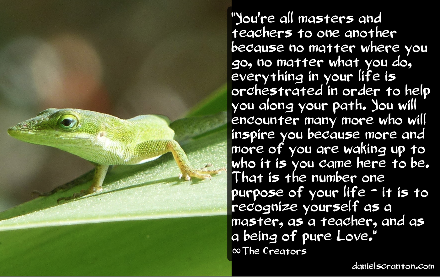 Be Your Own Master ∞The Creators • Daniel Scranton's Channeling