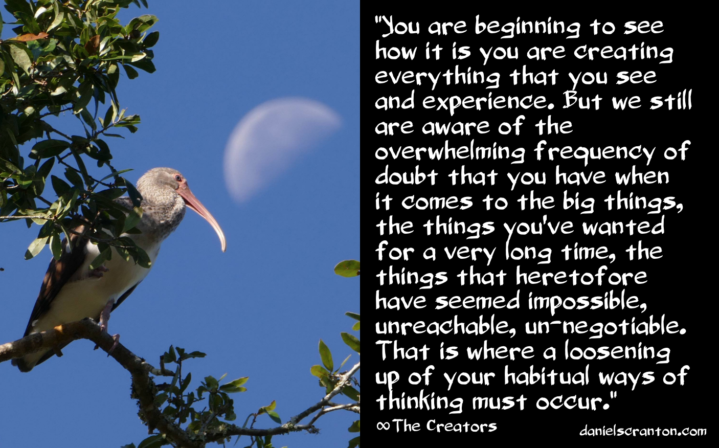 Open Yourself Up to the Possibilities ∞The Creators • Daniel Scranton's ...