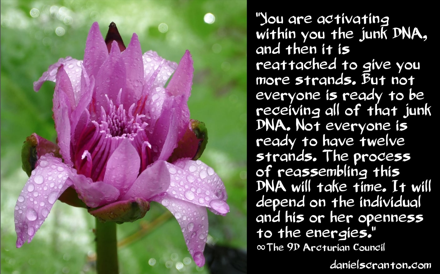 Reattaching Your DNA ∞The 9th Dimensional Arcturian Council • Daniel ...