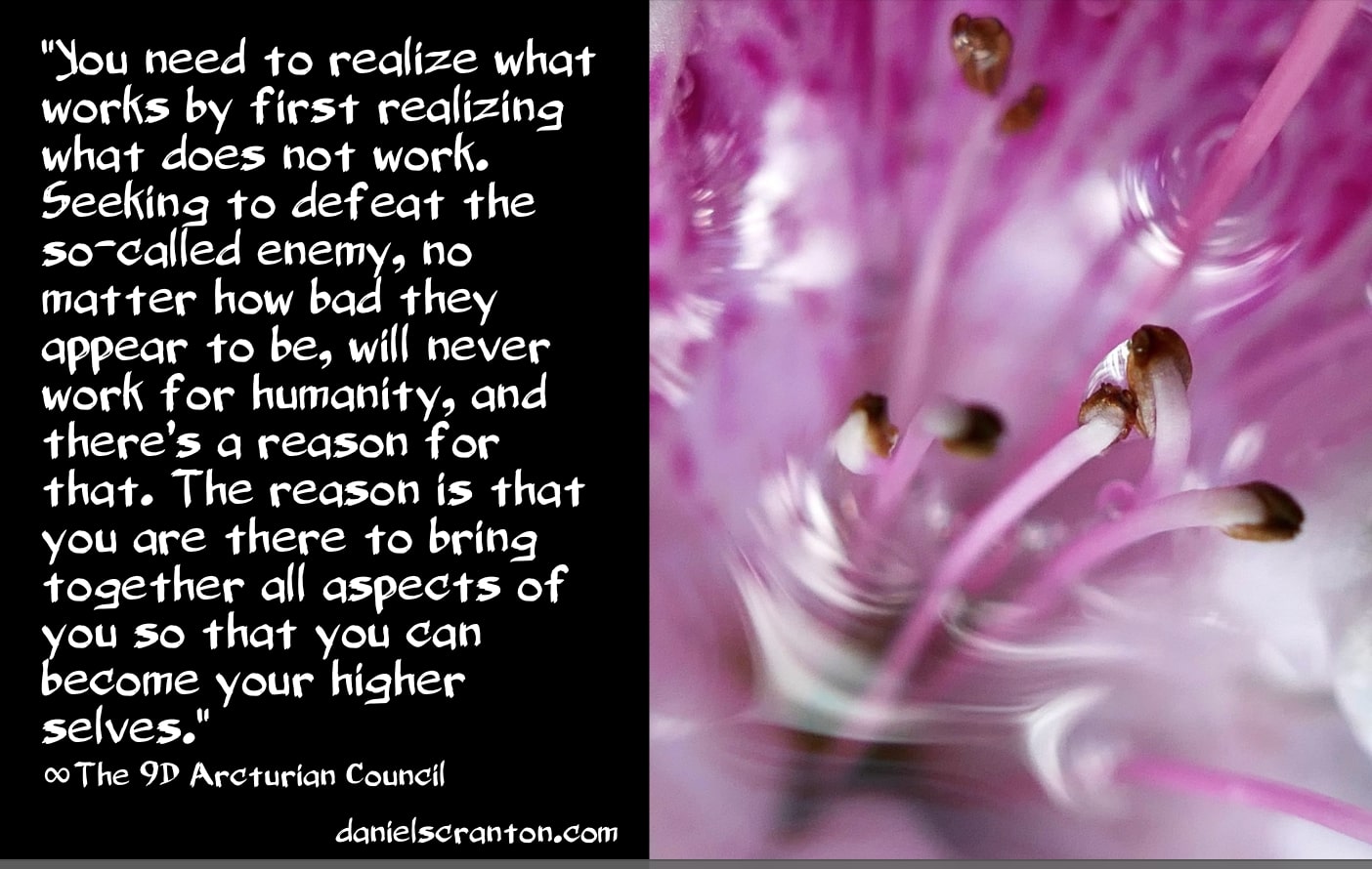 Defeating Others is not a Part of the Shift ∞The 9th Dimensional ...