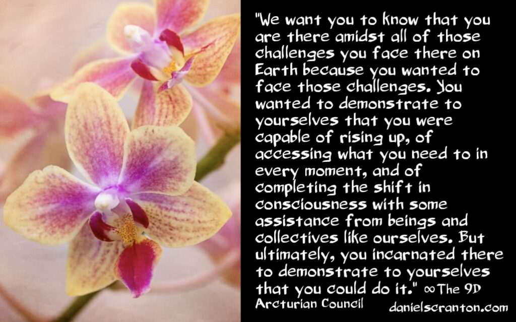 Daniel Scranton's Channeling • Channeling, Spirituality & Consciousness