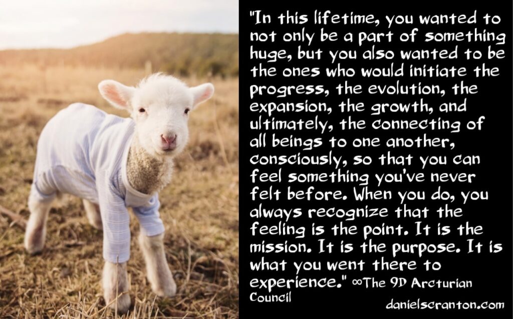 What You Knew Before You Incarnated on Earth