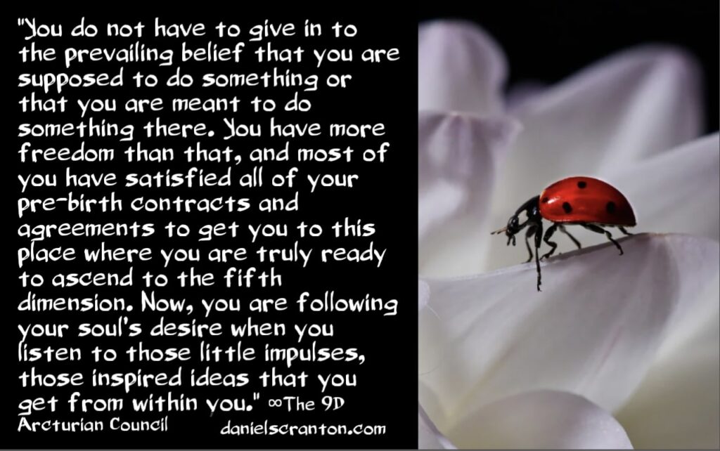 Act Upon These & Live Your Soul’s Purpose ∞The 9D Arcturian Council ...