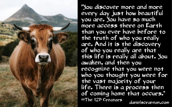 Daniel Scranton's Channeling • Page 3 of 261 • Channeling, Spirituality ...