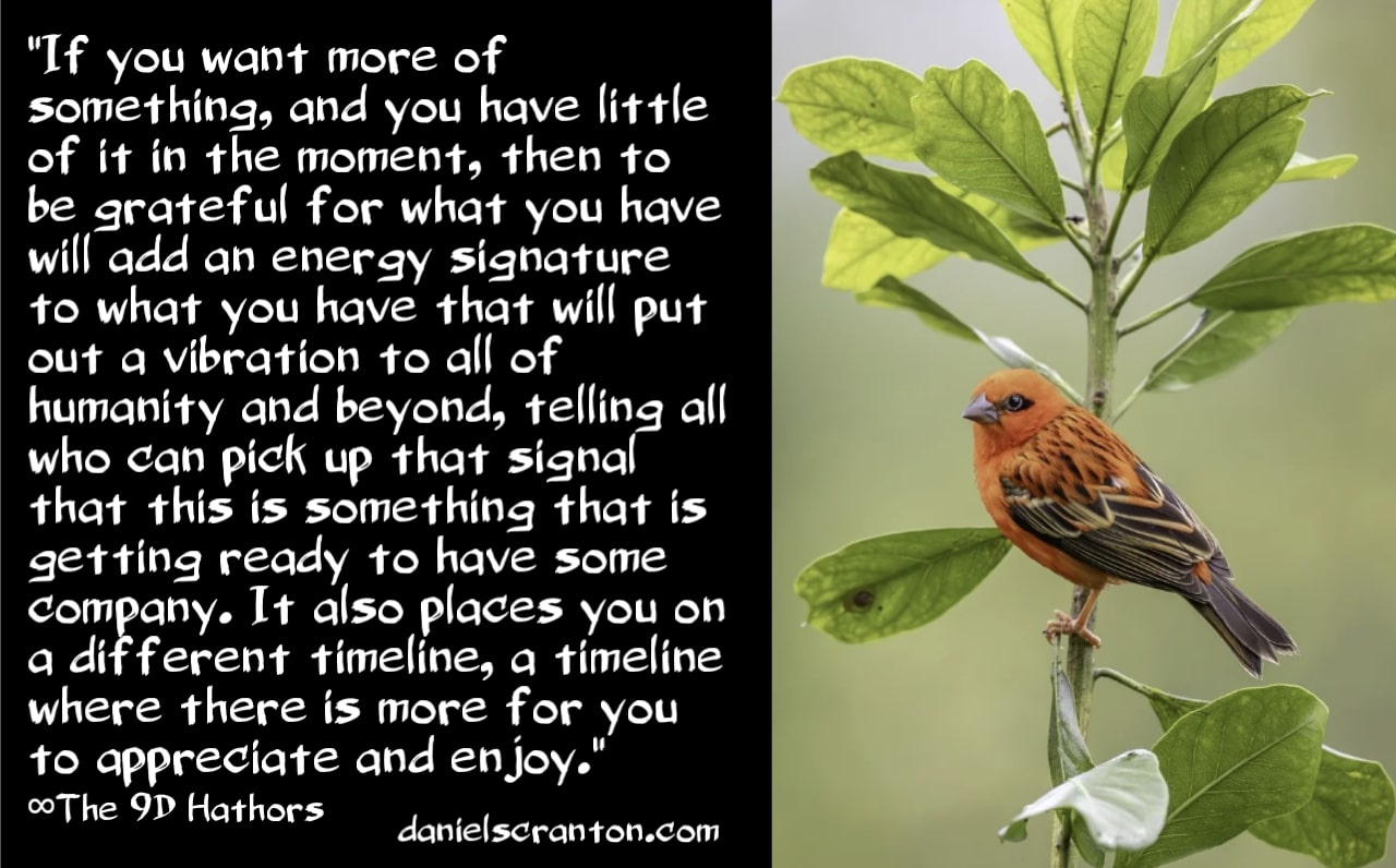 Thanks, Gratitude & Appreciation: Tools for Creation ∞The 9D Hathors ...