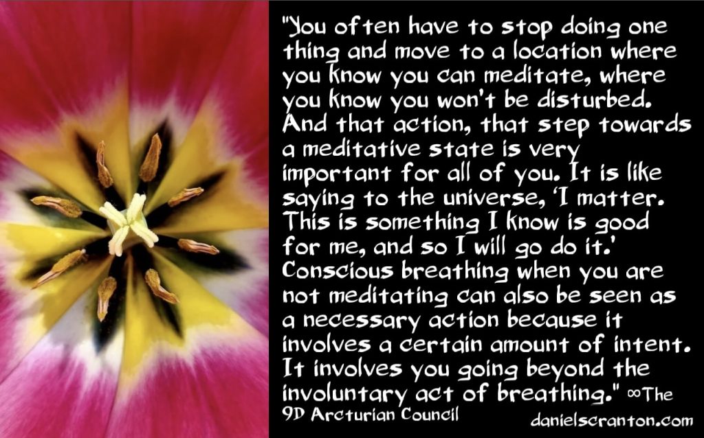 5 Steps You Can Take Every Day to Ascend