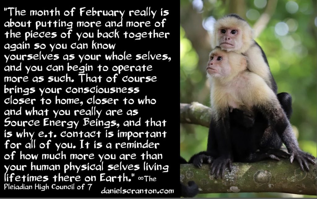 The February 2024 Energies ∞The Pleiadian High Council of 7 • Daniel Scranton's Channeling