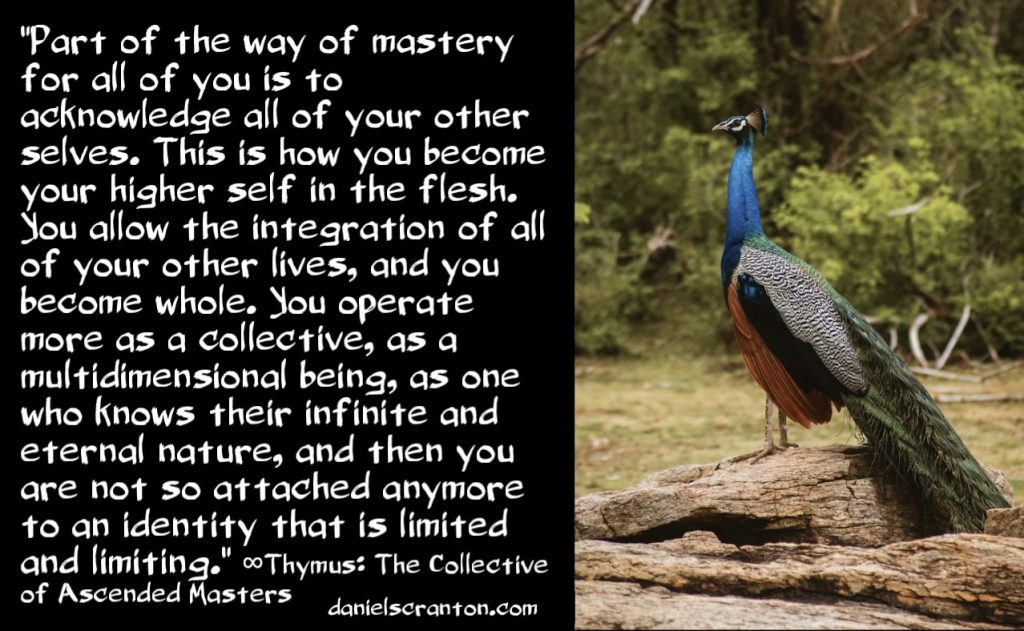 This is the Path & the Goal of the Awakened
